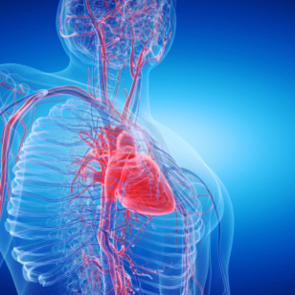 Nipro’s team vascular – the head turners at EuroPCR | Nipro Nipro ...